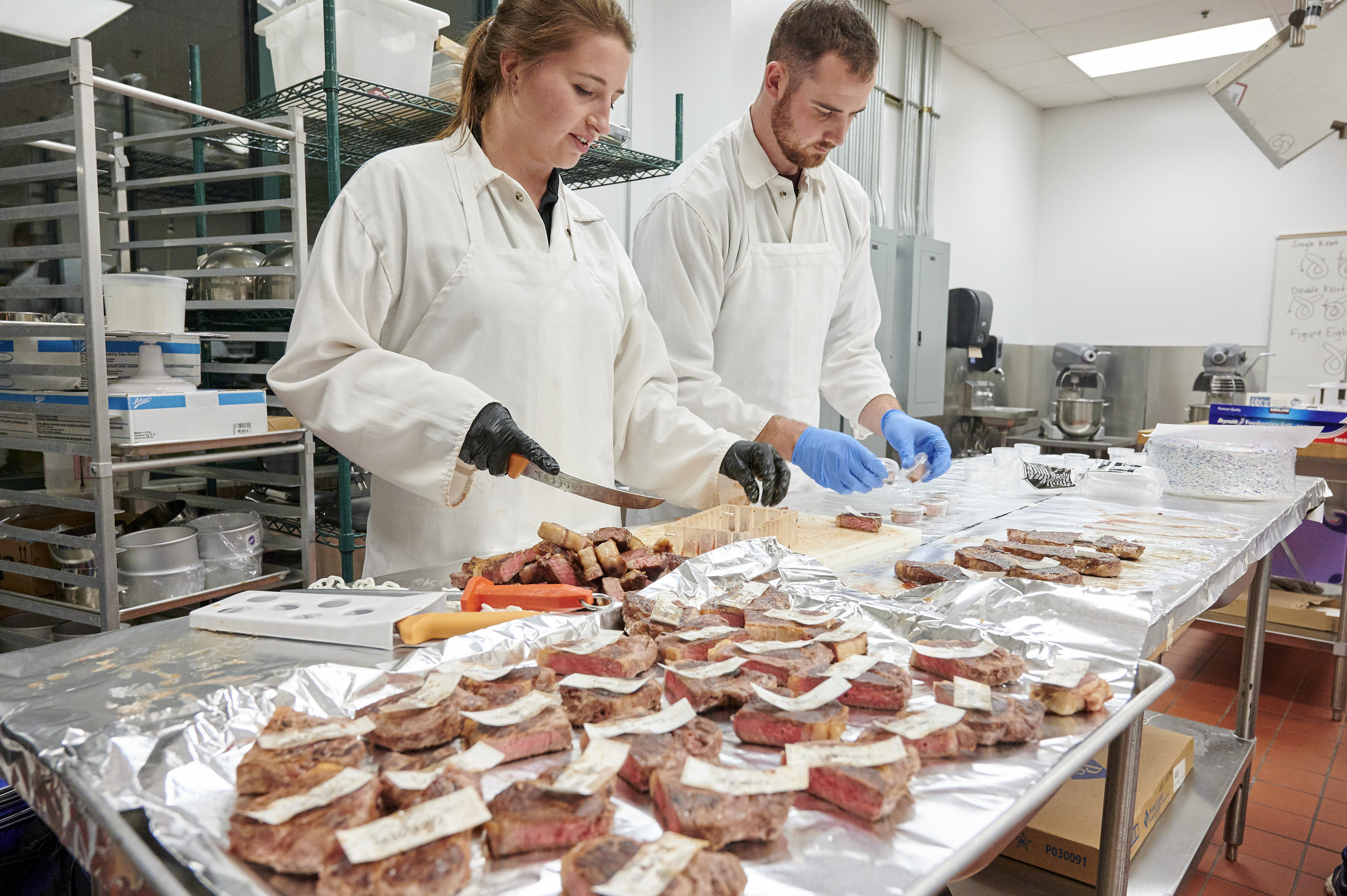 Tenderness and Taste Tests – The Meating Room